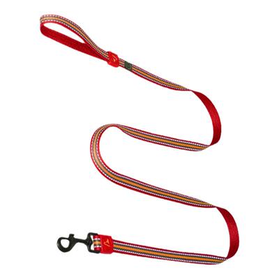 狗狗牵引绳防咬断防丢失宠物狗绳