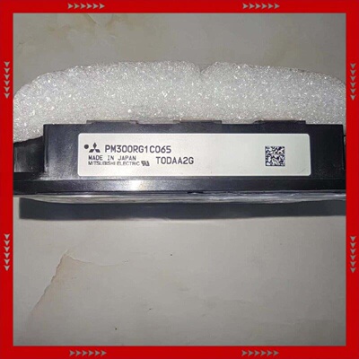 【问价】PM300RG1C065模块