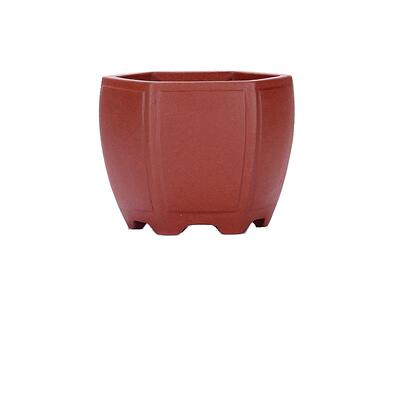 阳台盆栽多肉紫砂古典