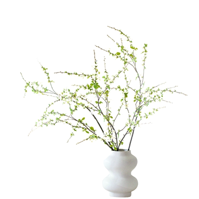 na家花房简约自然雪柳小手球枝条