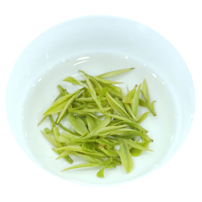 白茶安吉白茶明前特级高山茶