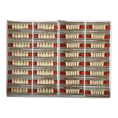 牙科材料采玉合成树脂全口义齿