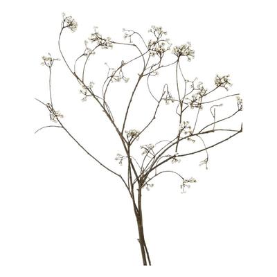 小白果天然干花真花花束乌桕果手工树枝家居客厅摆件ins拍摄道具