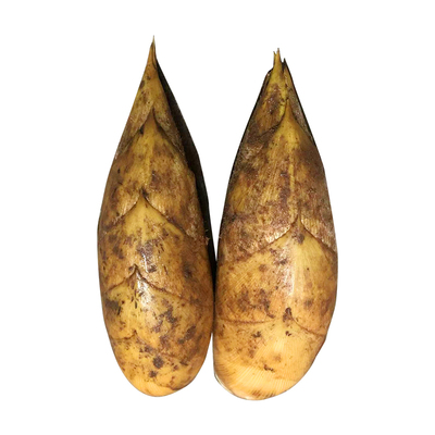 浙江冬笋新鲜笋现挖大降价了！