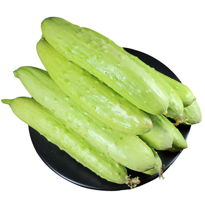 顺丰白玉黄瓜脆嫩生吃低糖水果