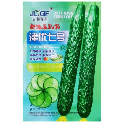 津优七号黄瓜种子绿芯密刺青瓜籽