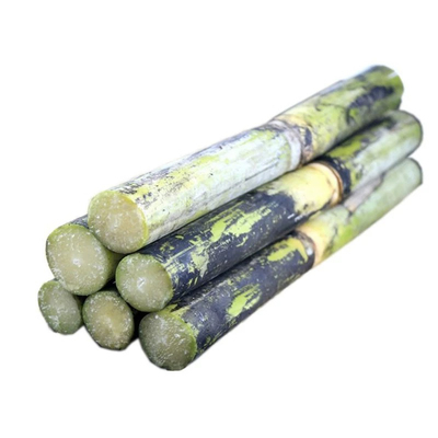 四川农家自种当季现砍土甘蔗青甘蔗绿皮孕妇水果甜青皮甘蔗整箱