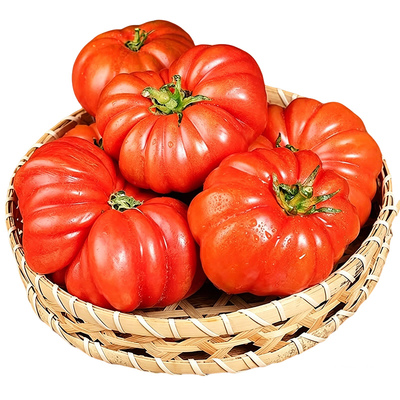 【热卖推荐】马蹄番茄沙瓤多汁