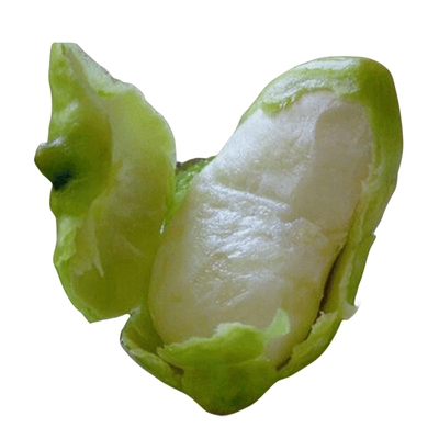 鲜甜可口水果菱南湖菱菱角米肉