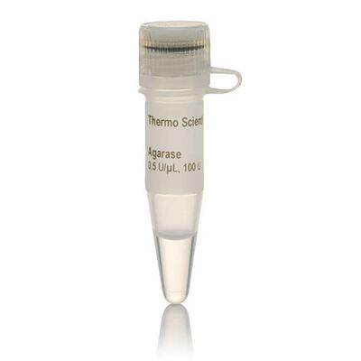 琼脂糖酶 (0.5 UµL) thermofisher上海生物网EO0461