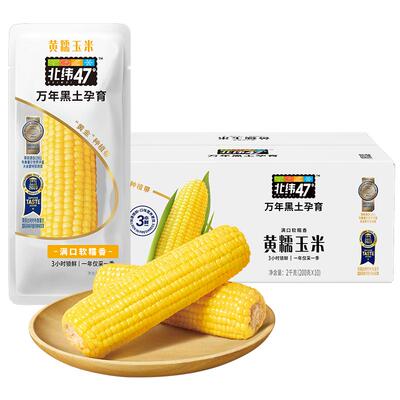 北纬47度黄糯玉米