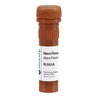 AlexaFluor647标记山羊抗兔IgG