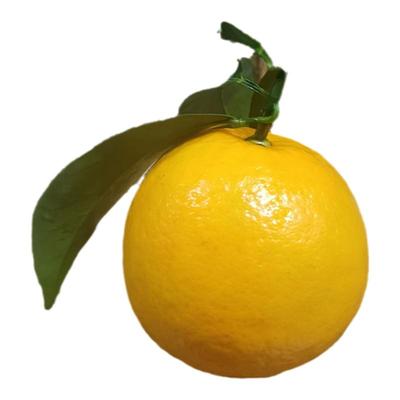 5斤10斤红江农场甜橙红江橙