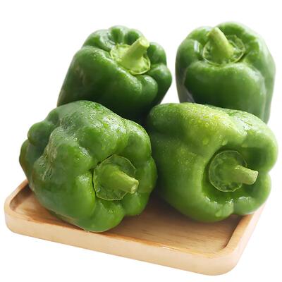 青椒菜椒绿色圆椒太空椒现摘现发