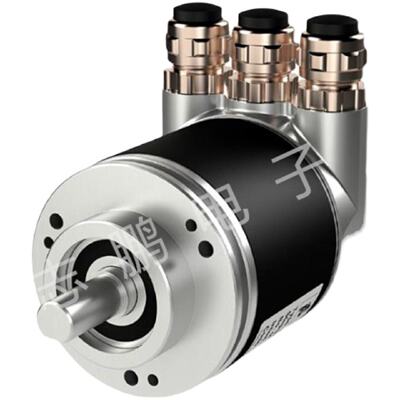议价专售全新现货RVI58N-0BAKAR61N-01024倍加福旋转编码器外径58