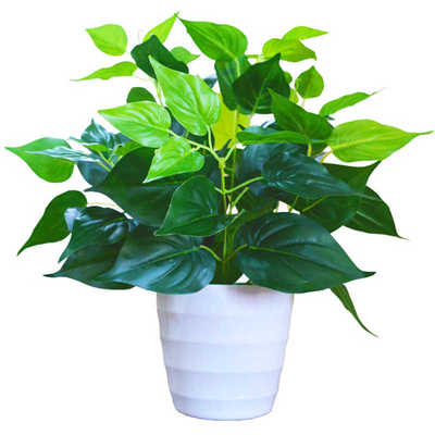 小盆栽装饰绿植仿真花绿箩