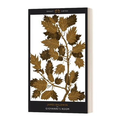 英文原版 Giovanni's Room 乔凡尼的房间 James Baldwin詹姆斯·鲍德温 英文版 进口英语原版书籍