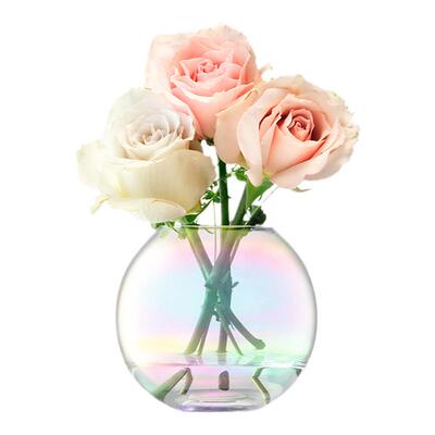 英国lsa清仓花瓶威士忌水杯酒杯