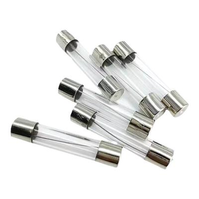 美国力特玻璃/陶瓷保险丝管250V