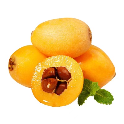 米易早钟枇杷当季现摘现发纯甜