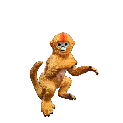 尚志模型灵长类猕猴狒狒仿真动物