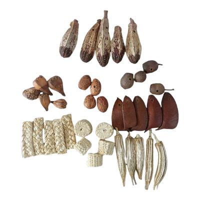 鹦鹉啃咬天然干果坚果啃咬玩具