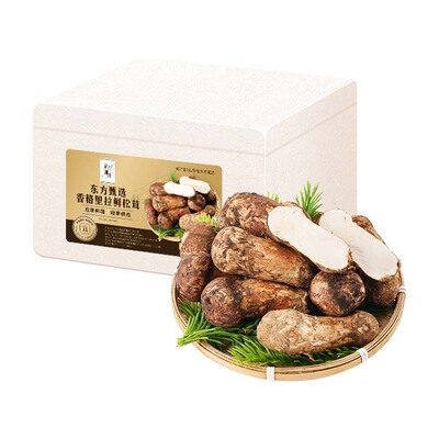东方甄选香格里拉新鲜松茸