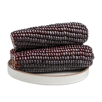 25年有机紫黑糯玉米300g新鲜甜糯玉米棒粘黏真空装包装袋早餐粗粮