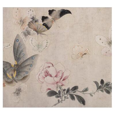 马荃《花蝶图》工笔花卉花鸟图