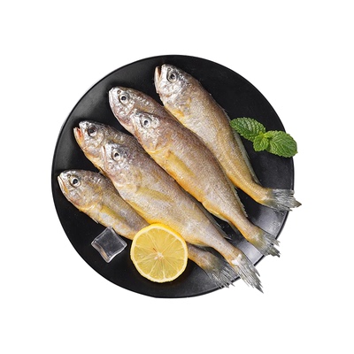 【净重】舟山野生小黄鱼顺丰发货