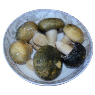 新鲜野生青头菌精品骨朵冰鲜冷冻