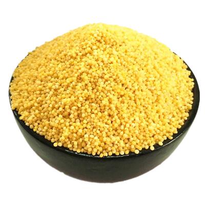 山西沁州黄小米谷子新谷粮食种子