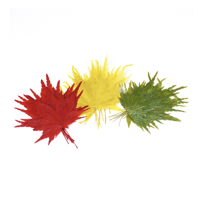 混合三色枫叶新鲜摆盘装饰花草