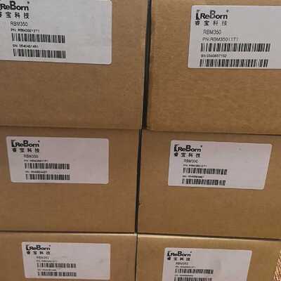 睿宝真空计 RBM350.   RBM35011T1/全RB议价