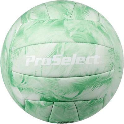 ProSelect专选青鸾排球5号