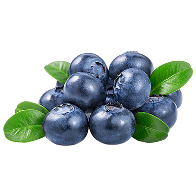 云南高山花香蓝莓小懒杯