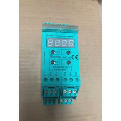 PEPPERLFUCHS 181191 KRU8FSSP1D KSystem