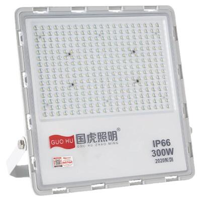 国虎室外防水超亮节能庭院投光灯