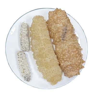 功效型海参提高抵抗力优质蛋白