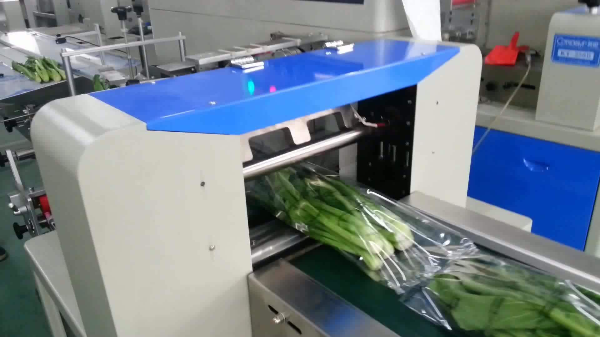 Automatic Flow Frozen Fresh Vegetable Packing Machine - Buy Vegetable ...