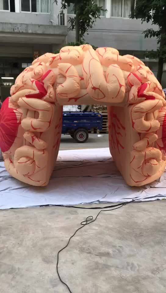Big Vivid Inflatable Organ,Inflatable Brain Model Entrance Tunnel Dome ...