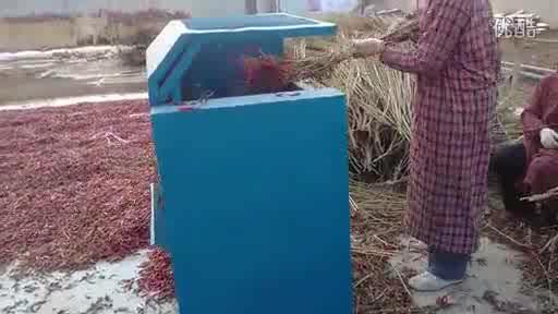 Red Chili Hot Pepper Harvester Chilli Picker Chili Picking Machine With ...