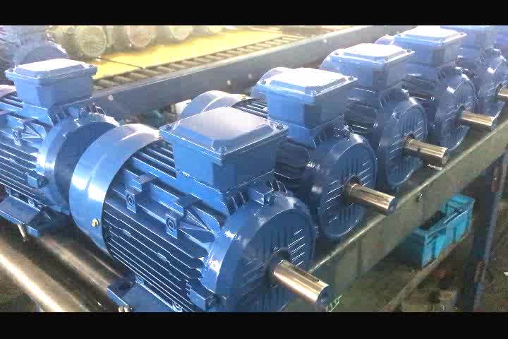 Ms Series 750w Three Phase Induction Motor Ms8024 - Buy Three-phase ...