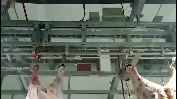 Cattle Slaughterhouse Equipment Stepping Carcass Processing Conveyor ...