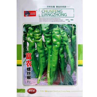 农田可盆栽中熟皱皮长果辣椒种子