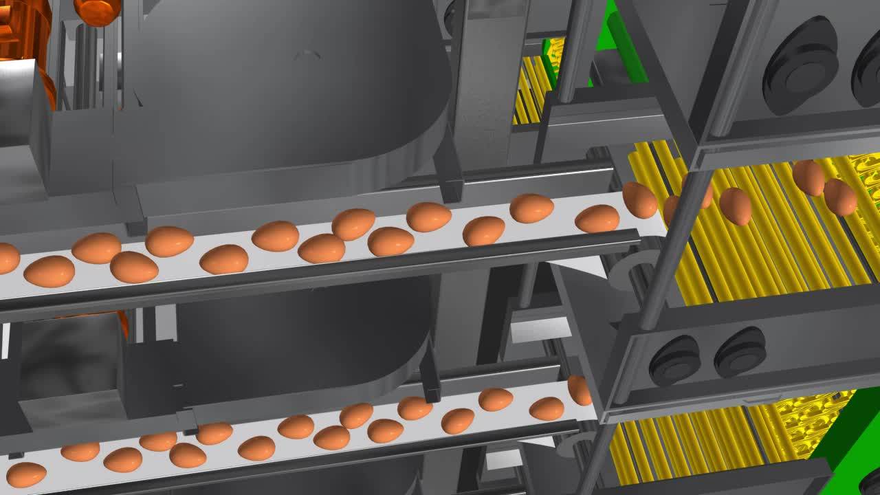 Hot Sale Zhengzhou Livi Automatic Egg Collecting Machine In Layer ...