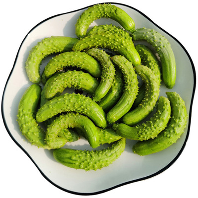 海阳扭腌黄瓜现摘现发白玉黄瓜
