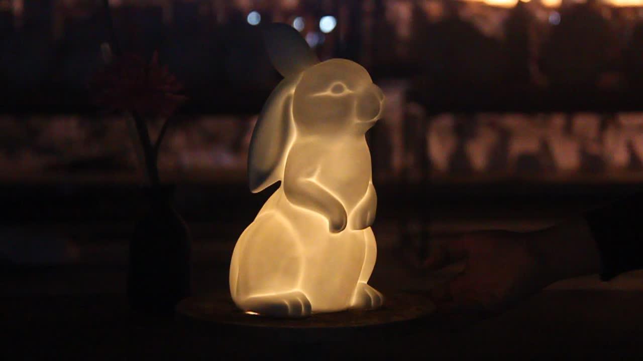 Simple Design White 3d Bunny Rabbit Porcelain Led Night Light Home ...