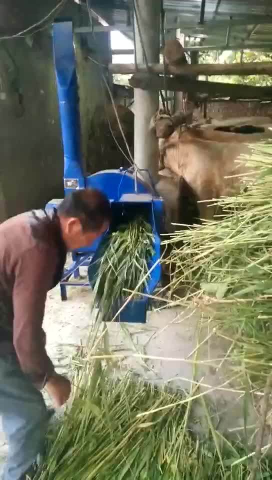 Rice Straw Silage Chopping Machine/feed Grass Chopper Machine/lawn ...
