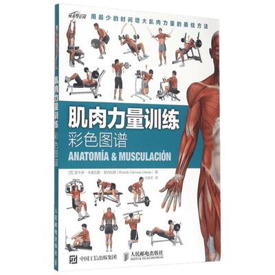 肌肉力量训练彩色图谱 完整的健身和力量训练可视化指南 针对不同水平的人群分别给出了初级中级和高级训练计划